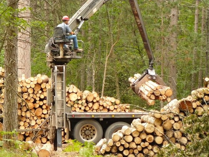 Logging: Getting the wood out | News, Sports, Jobs - Daily Press